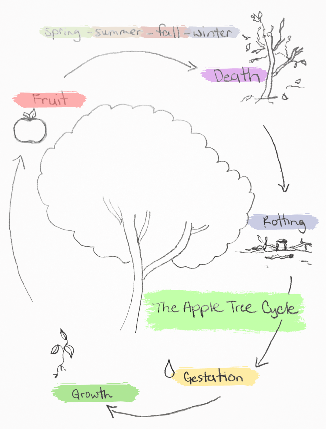 Podcast 04 - Embracing Change with the Apple Tree Cycle - LunaHolistic.com